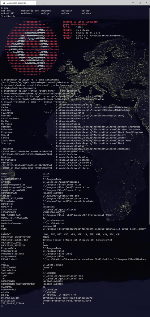 WSL Commands to Access Windows Resources – wslguy.net